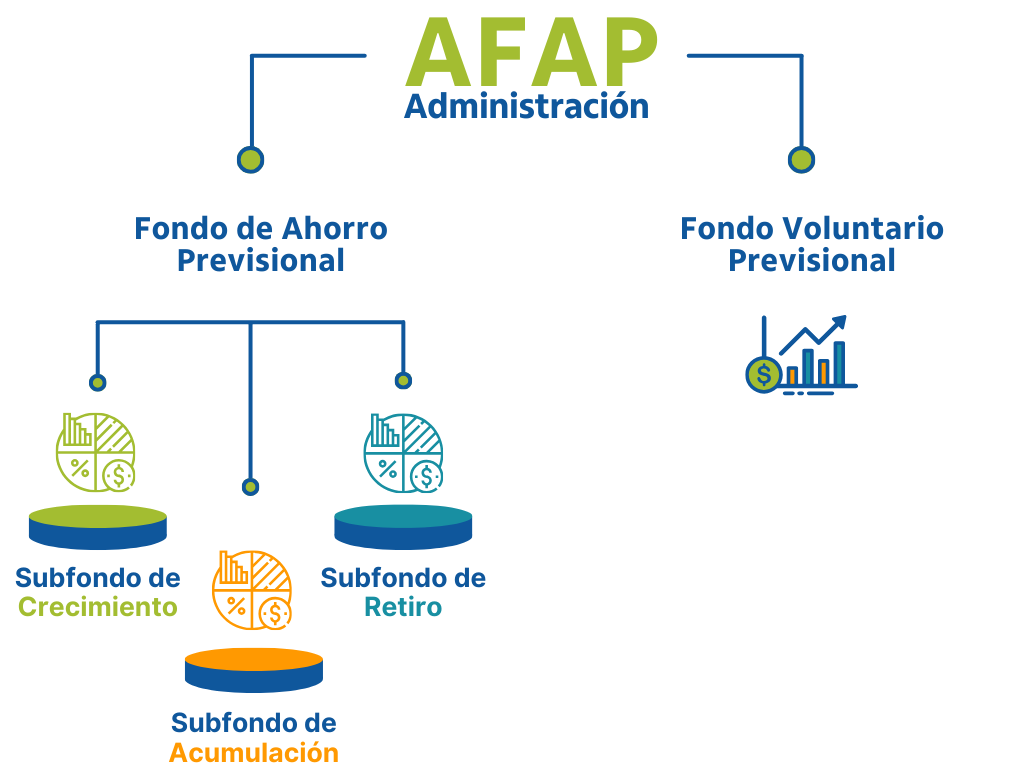 ¿Cómo se organiza el ahorro de los afiliados a una AFAP? - AFAP Itaú